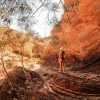 Hamersley Gorge, Karijini National Park: What You Need To Know To Visit