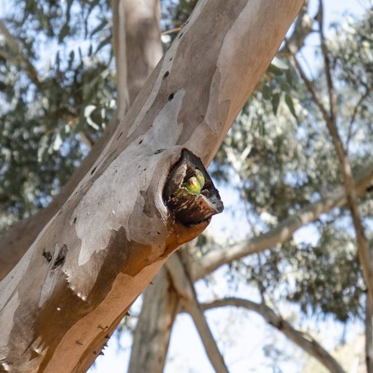 The 9 Most Spectacular Things To Do In Uluru - Experience The Red ...