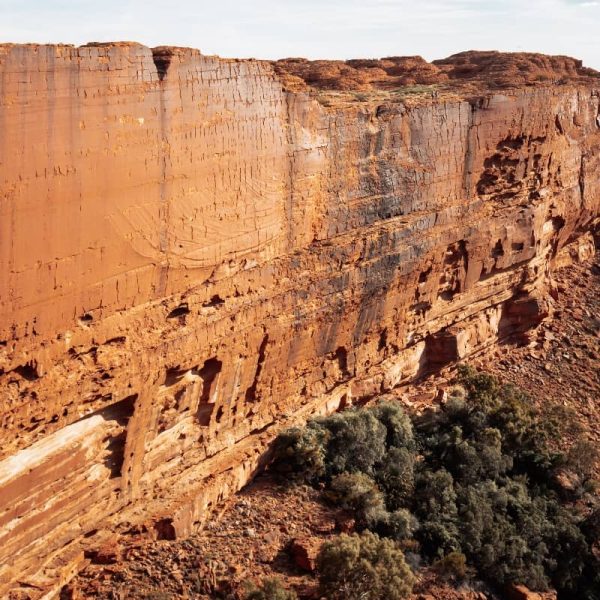 The Ultimate Guide To What To Do In Kings Canyon