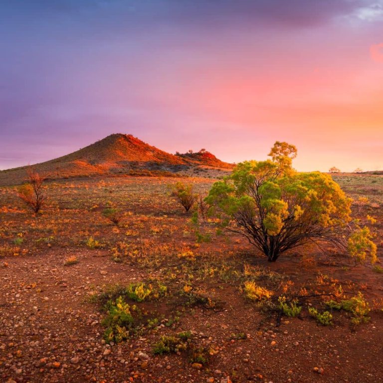 Top 15 Things To Do In Alice Springs, Australia's Red Centre