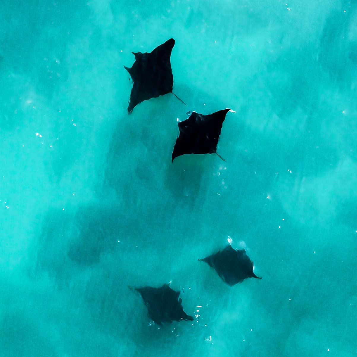 When Is The Best Time To Visit Exmouth? When Is The Worst?