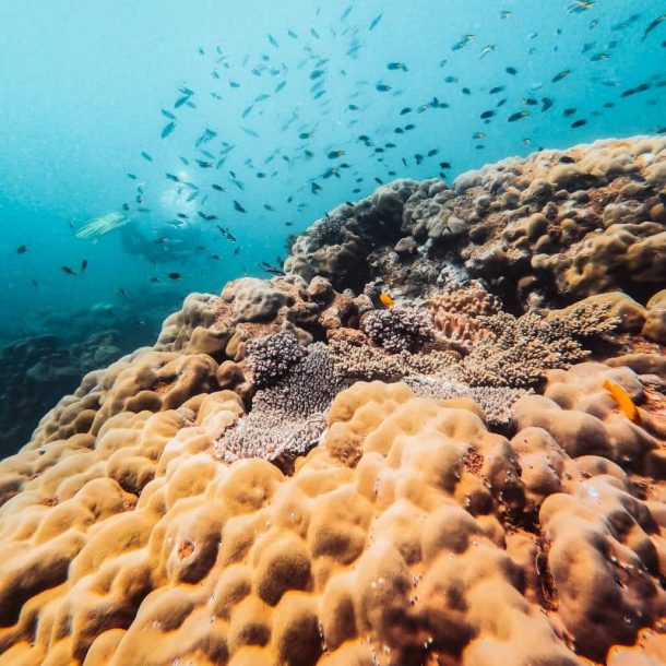 Muiron Islands (Exmouth) | Best Snorkelling and Scuba Spots