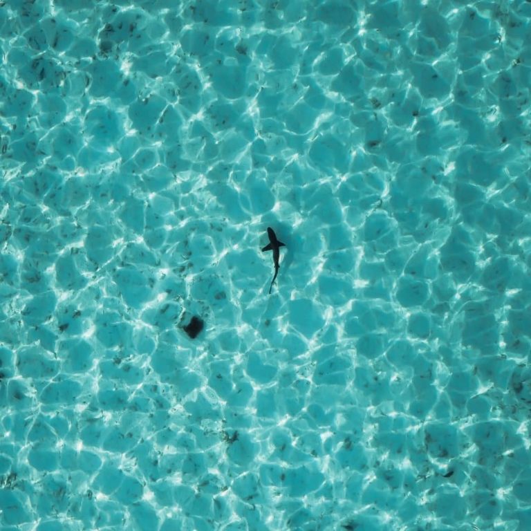 Visit Lakeside (Exmouth, WA) | A Hidden Gem For Snorkelers!