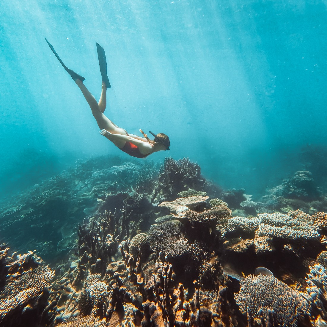 How To Plan A Week In Exmouth + 13 Awesome Activities To Do!