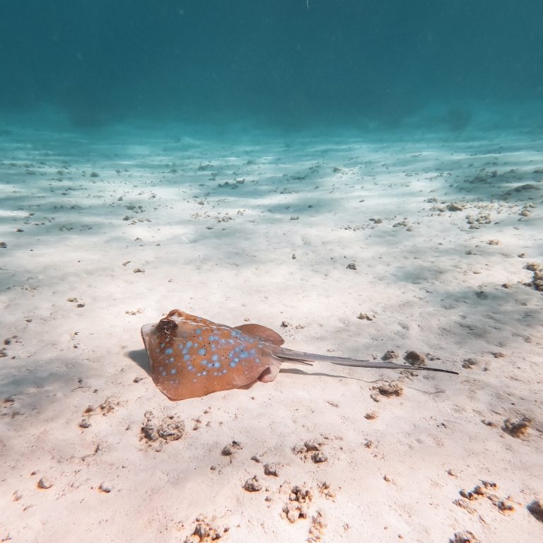 How To Plan A Week In Exmouth + 13 Awesome Activities To Do!