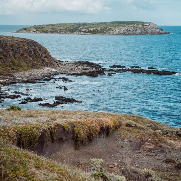Hiking Waitpinga Cliffs on the Heysen Trail - Everything You Need To ...