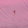 Pink Lake Kalbarri (Hutt Lagoon) 2025 BEST Guide + Free Map