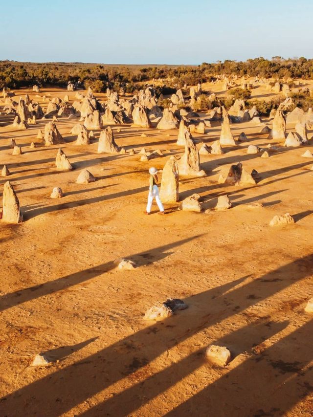 The Pinnacles (WA): Tips To Plan Your Visit + 5 Things To Do