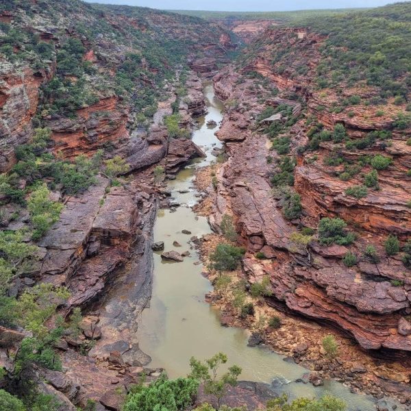 Explorer's Guide To The Z Bend (Kalbarri, WA) And Its Trails
