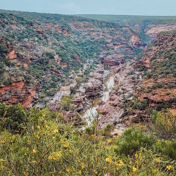 Explorer's Guide To The Z Bend (Kalbarri, WA) And Its Trails