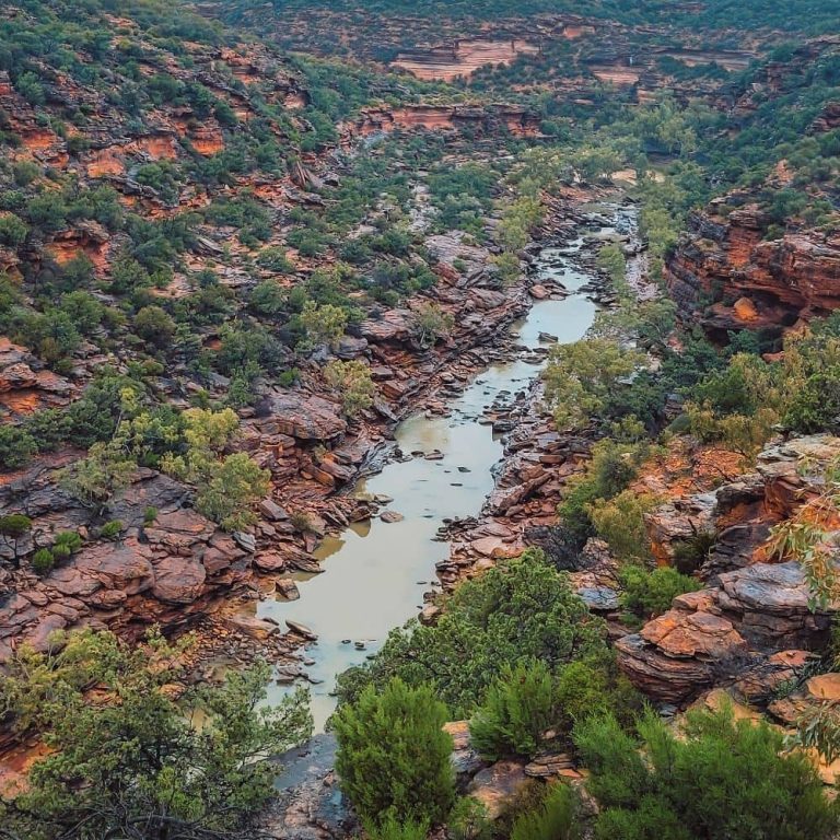 Explorer's Guide To The Z Bend (Kalbarri, WA) And Its Trails