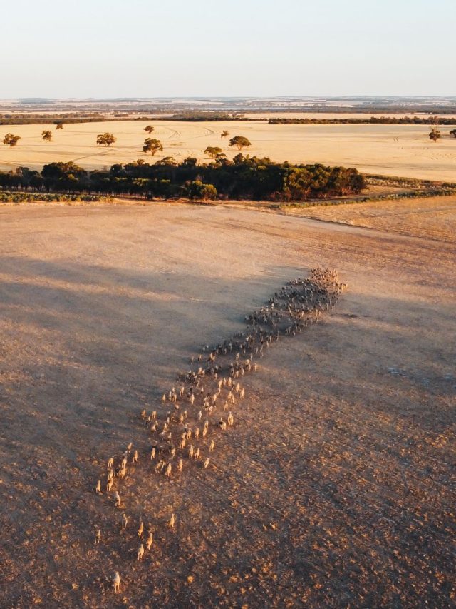 Heyscape's Tiny Home Accommodation Review: Secluded Cabins With A View ...