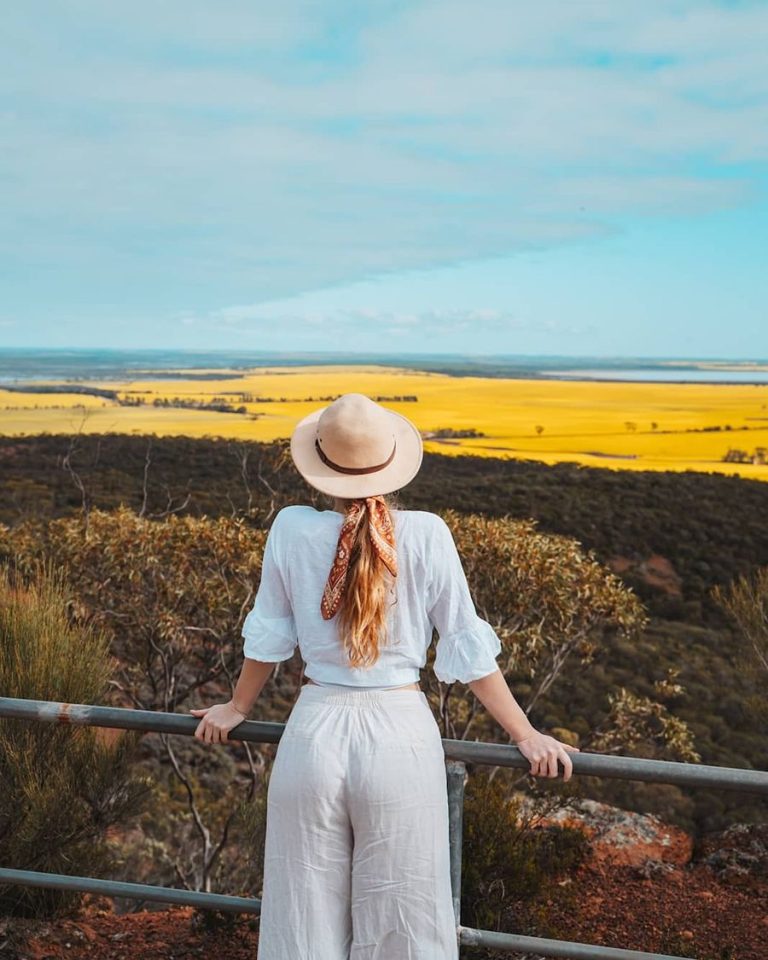 Ultimate Guide To Western Australian Wildflowers + FREE Map
