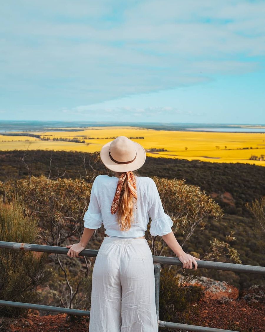 Ultimate Guide To Western Australian Wildflowers + FREE Map