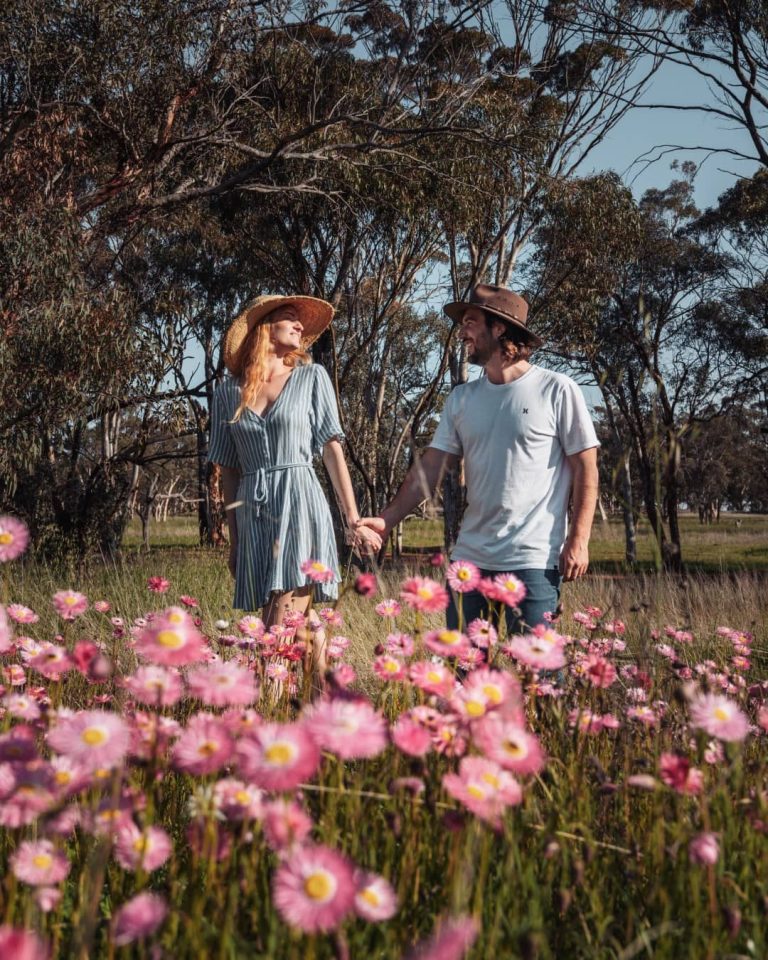 Ultimate Guide To Western Australian Wildflowers + FREE Map