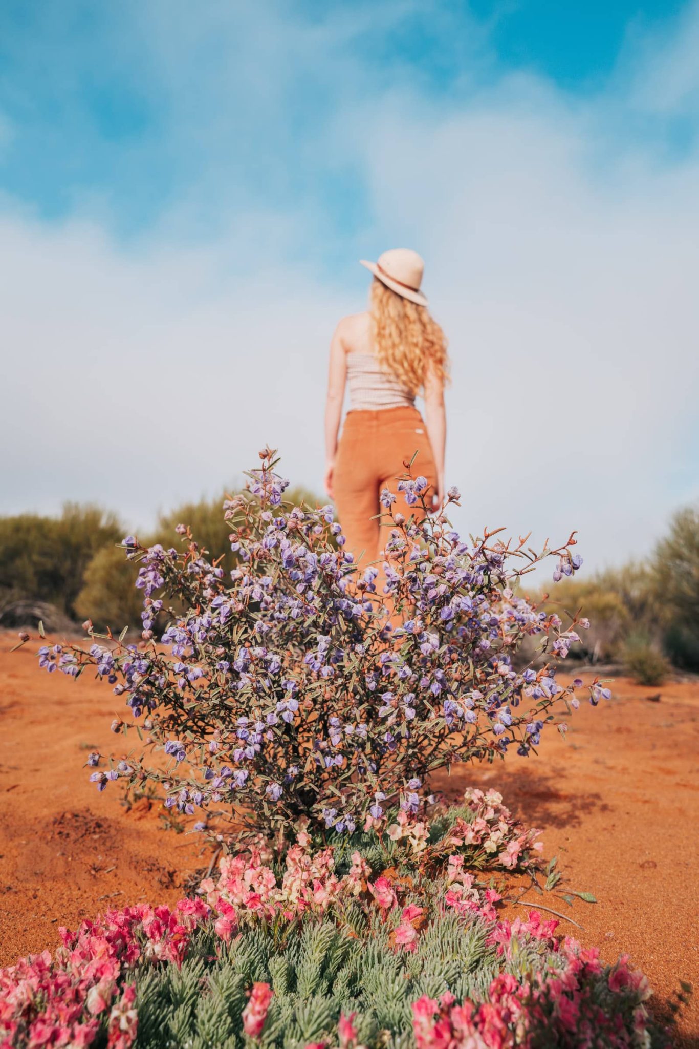 Ultimate Guide To Western Australian Wildflowers + FREE Map