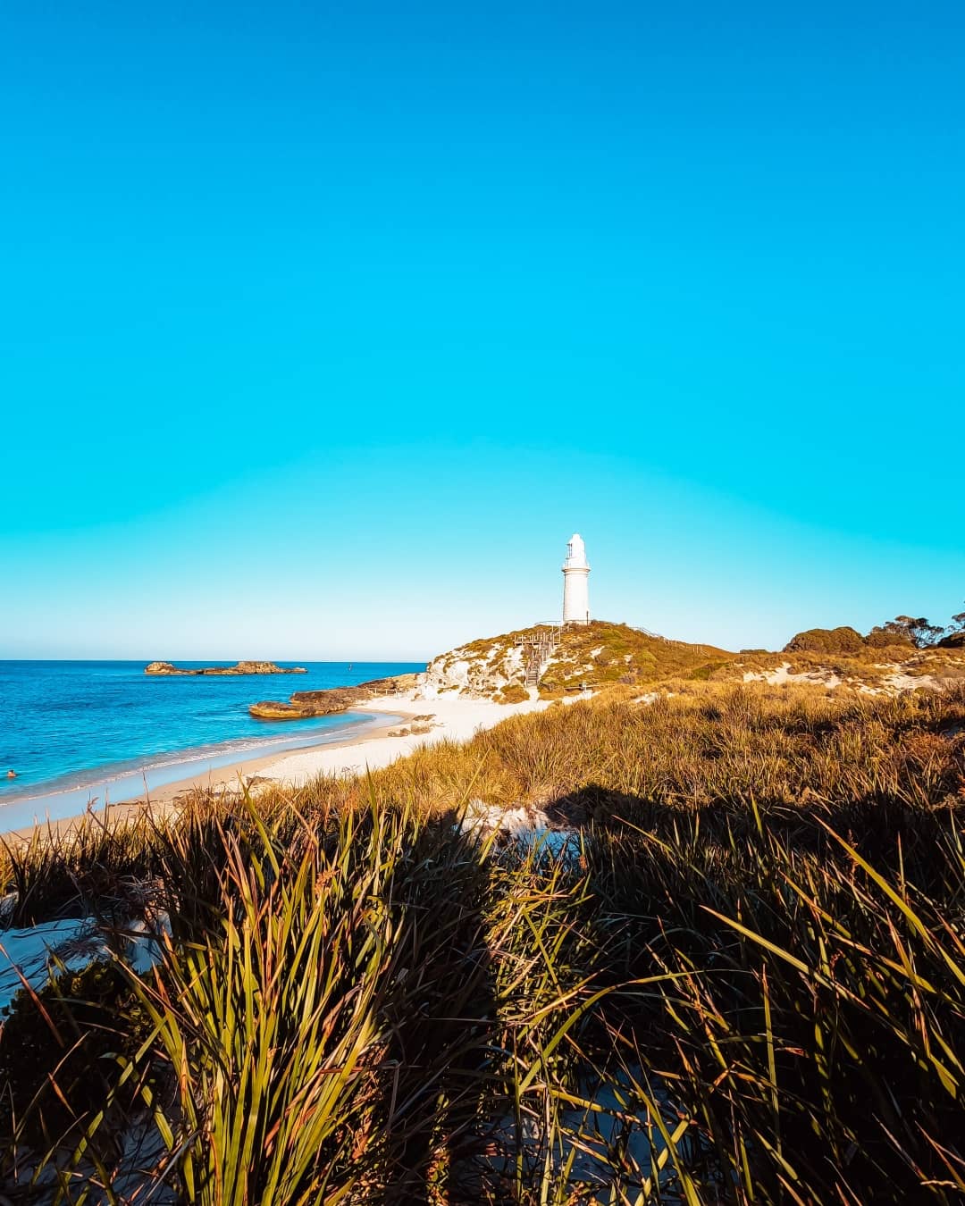 What To Do On Rottnest Island? 22 Awesome Activities To Try