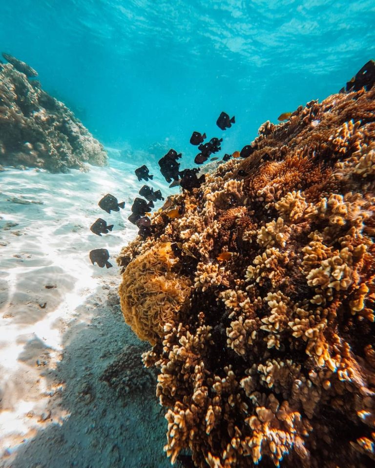 The PERFECT Perth to Exmouth Road Trip Itinerary + FREE Map