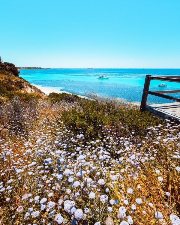 What To Do On Rottnest Island? 22 Awesome Activities To Try
