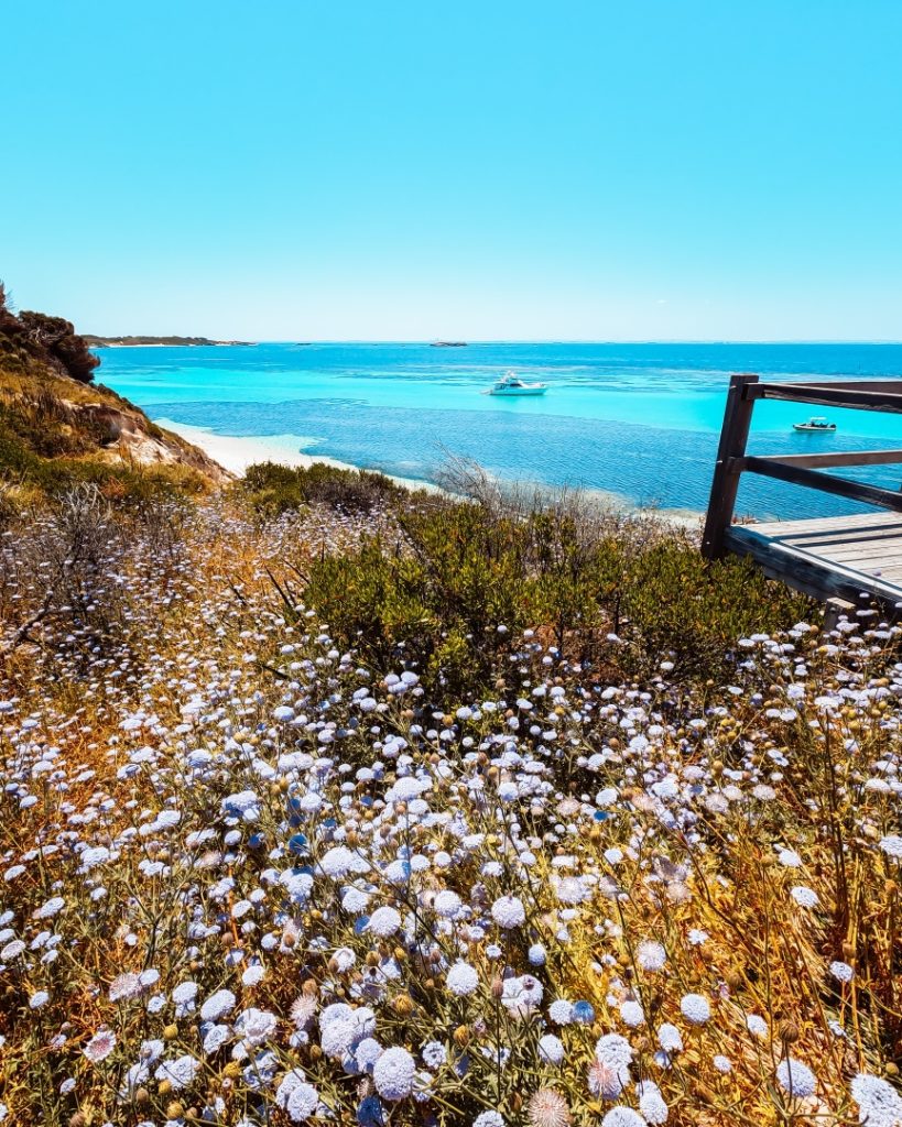 What To Do On Rottnest Island? 22 Awesome Activities To Try