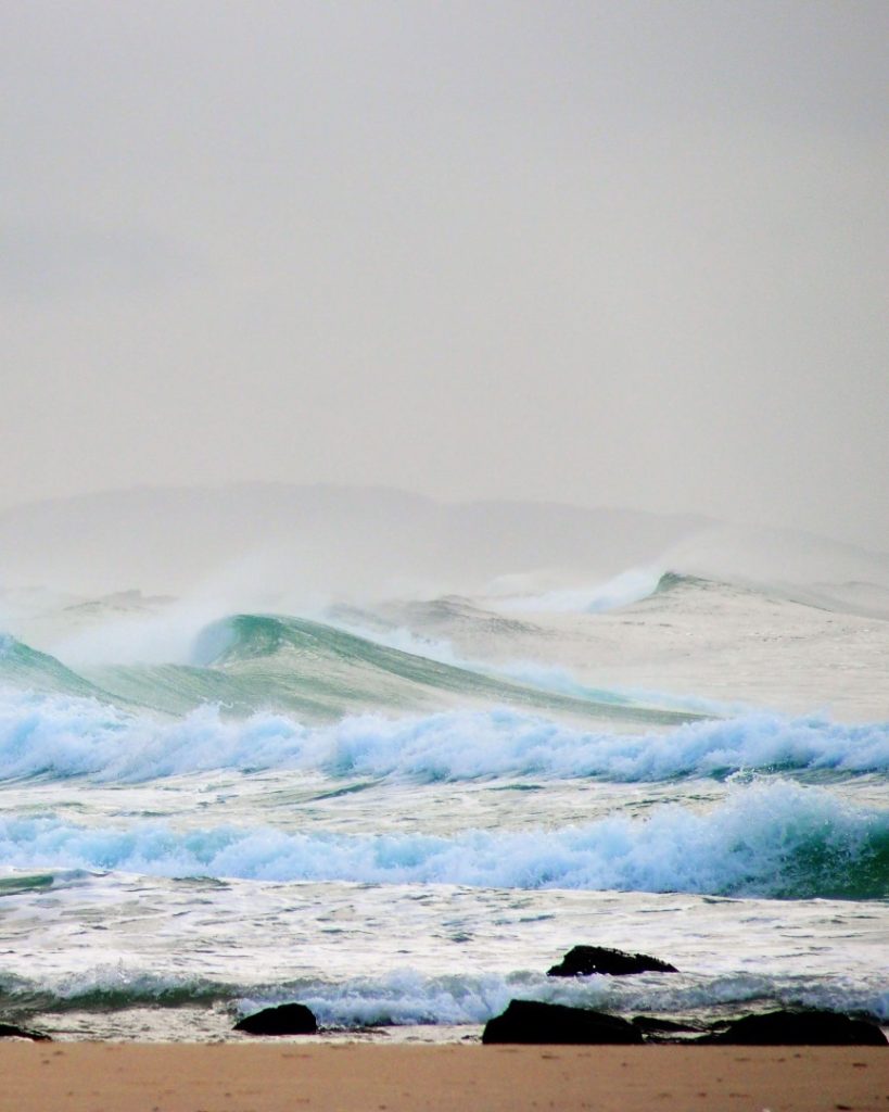 Why Spring Is The Best Time To Visit Perth + When NOT To Go