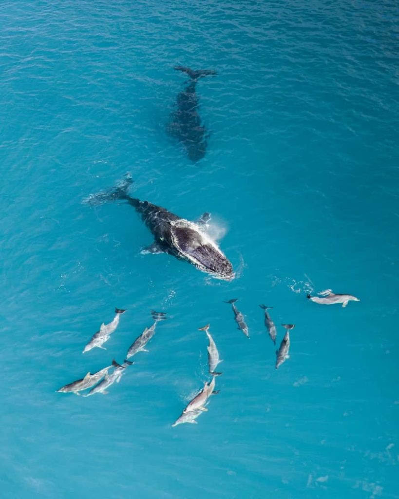 22 Things To Do In Kalbarri (You'll Regret Skipping These!)