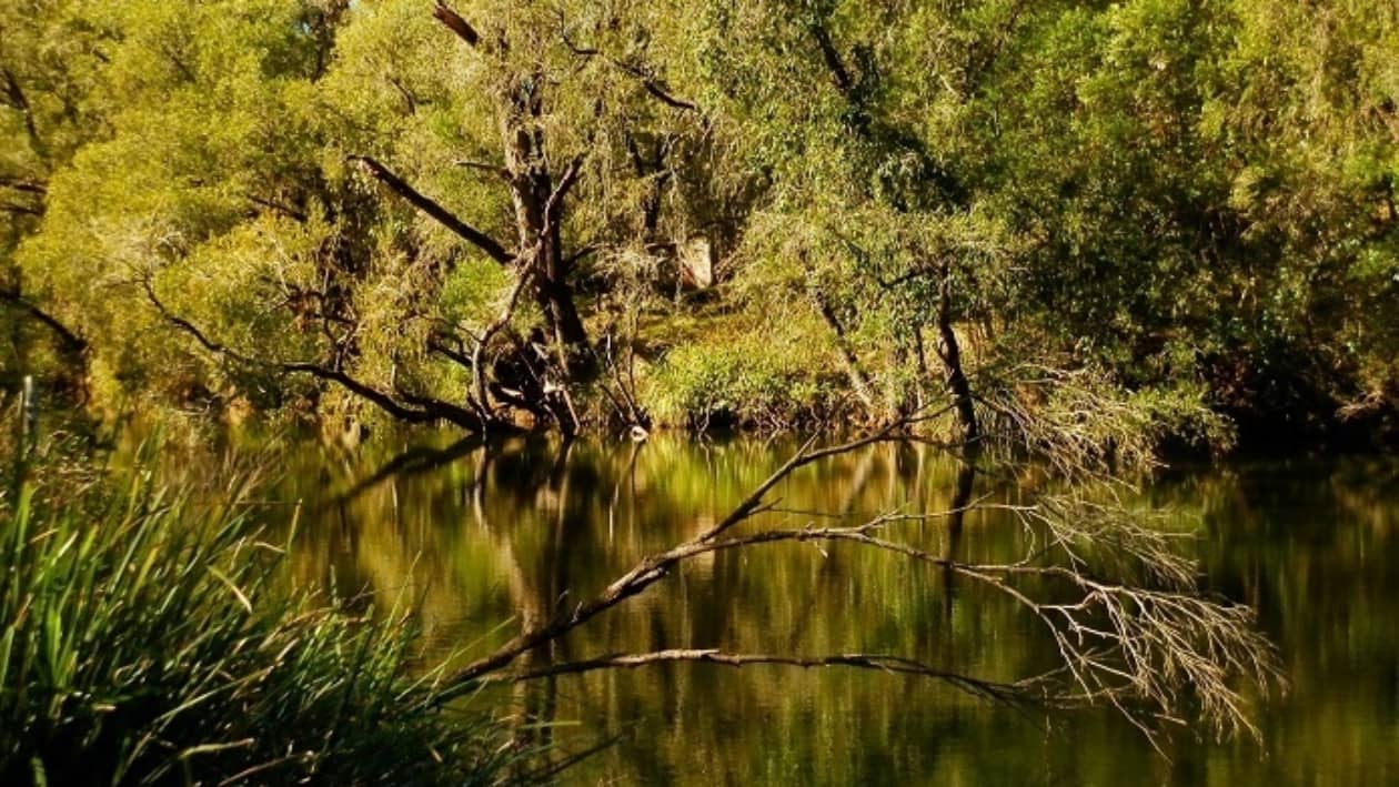 Woodenbong, New South Wales: Don't Skip This Underrated Gem!