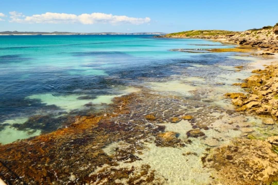 10 Favourite Kangaroo Island Beaches + Honourable Mentions