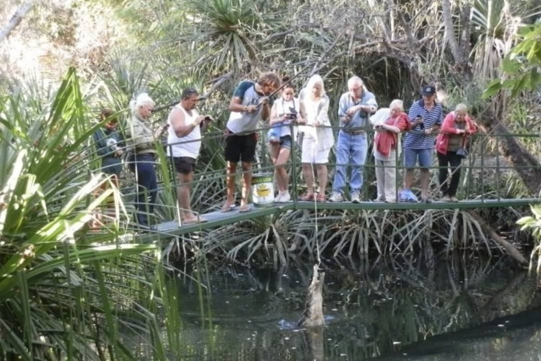 9 Things To Do In Timber Creek: Don't Miss Out On This Gem!