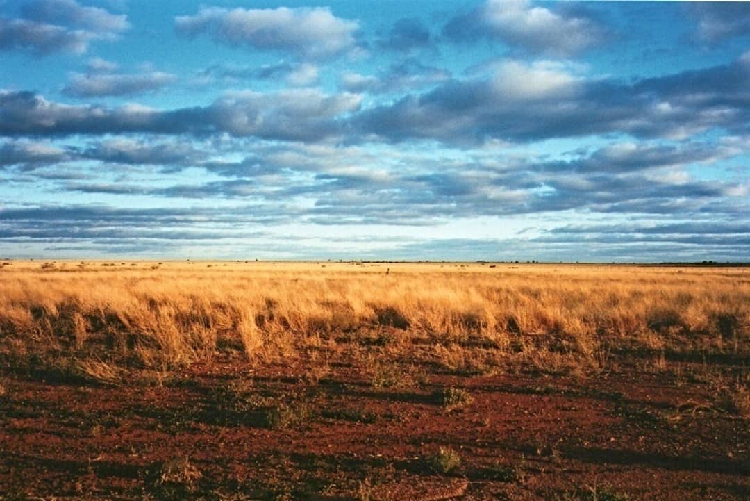 9 Things To Do In White Cliffs: An Underrated Spot in NSW