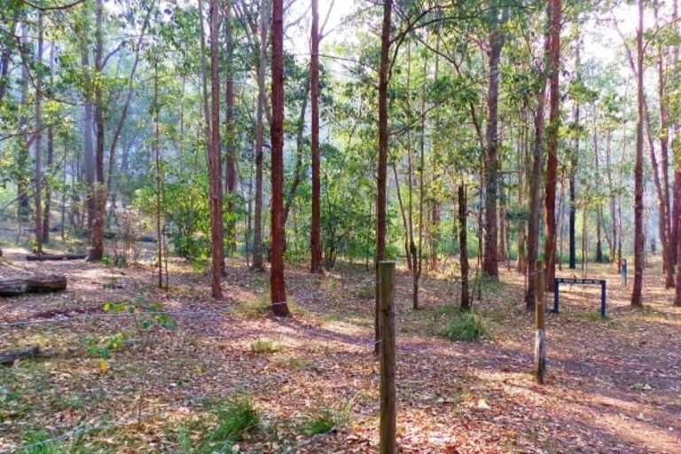 21 Things To Do At The Scenic Rim, QLD: The Ultimate Guide!