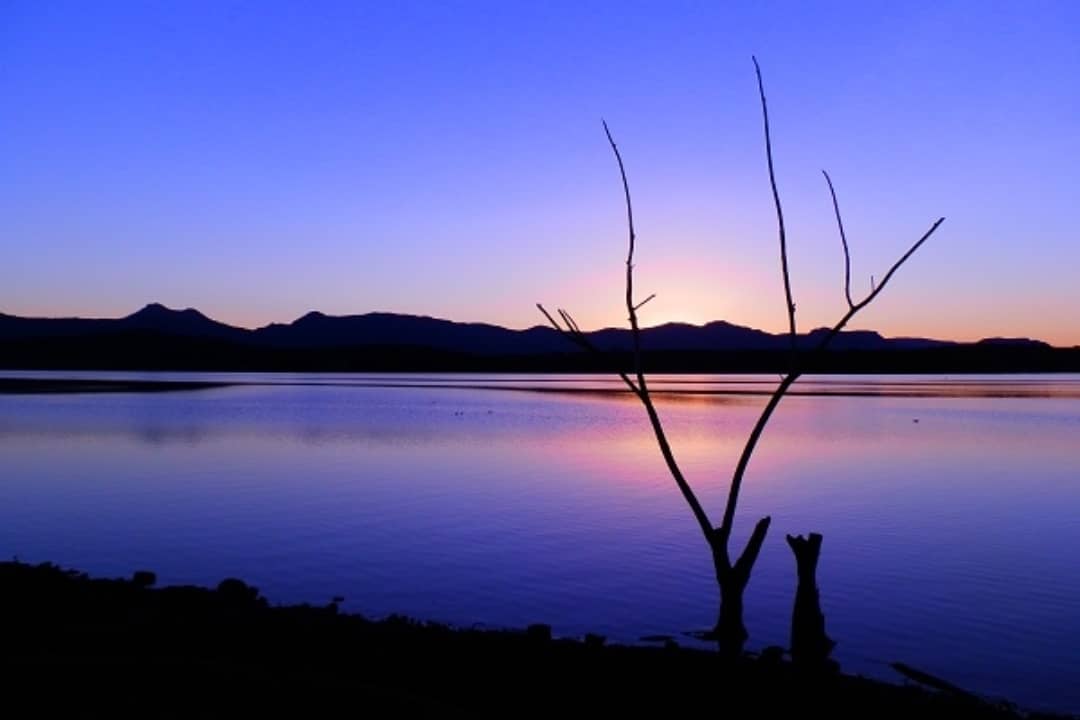 21 Things To Do At The Scenic Rim, QLD: The Ultimate Guide!