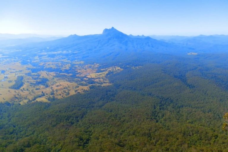 7 Things To Do At Border Ranges National Park + Camping Tips