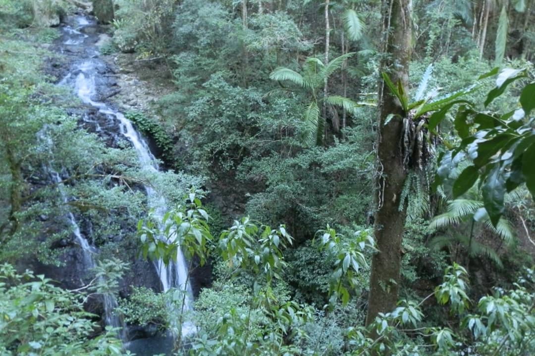 7 Things To Do At Border Ranges National Park + Camping Tips