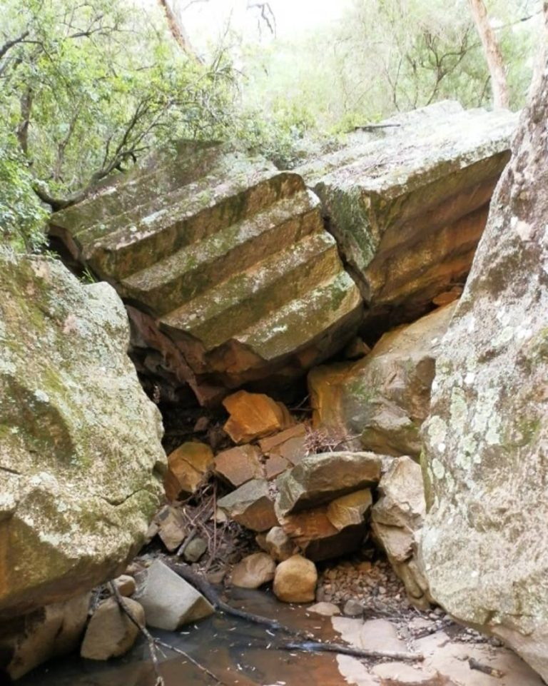 Sawn Rocks, NSW: An Ancient Geological Marvel In Mt Kaputar