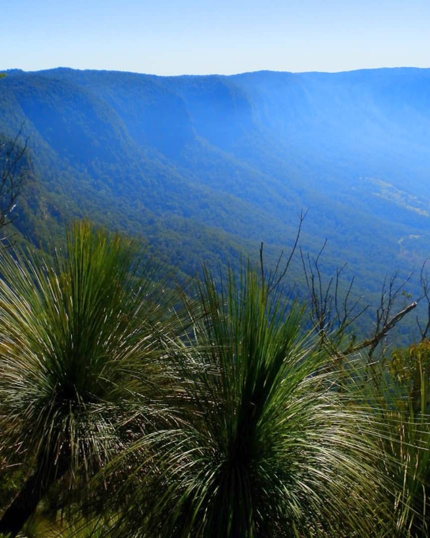 7 Things To Do At Border Ranges National Park + Camping Tips