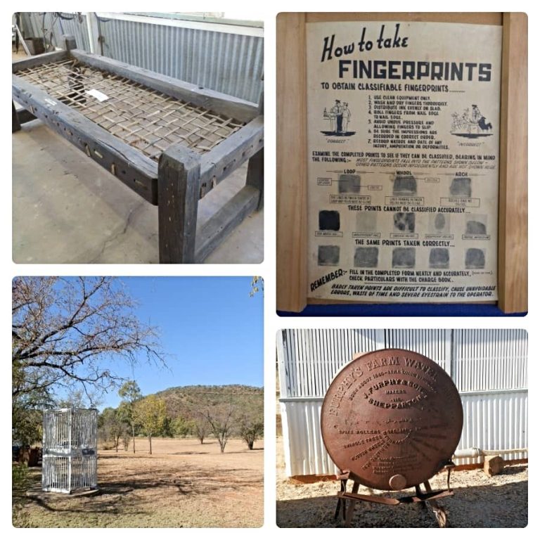 9 Things To Do In Timber Creek: Don't Miss Out On This Gem!