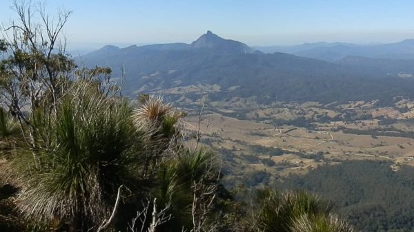 7 Things To Do At Border Ranges National Park + Camping Tips