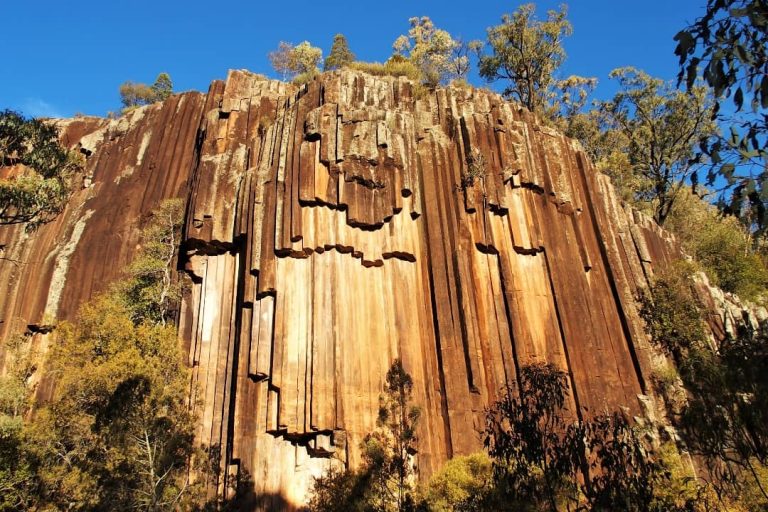 Sawn Rocks, NSW: An Ancient Geological Marvel In Mt Kaputar