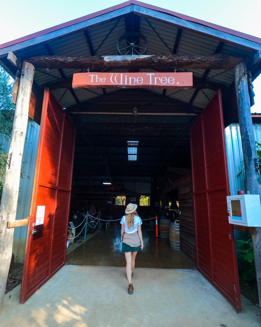 14 Things To Do In Dwellingup: The Perfect Guide