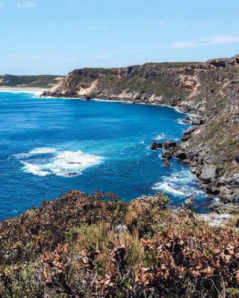 Windy Harbour (WA): 6 Things To Do + Tips To Plan Your Visit