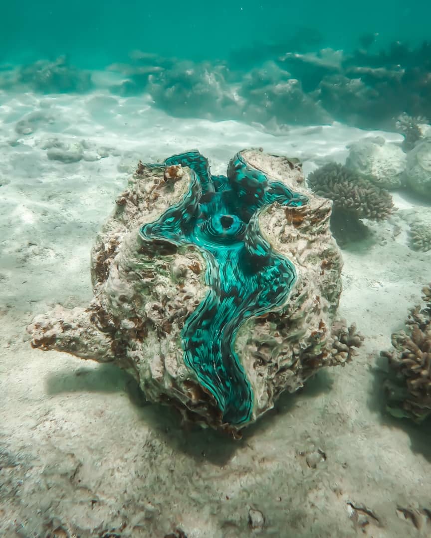 21 Best Beaches In Western Australia (Our Personal Favs)