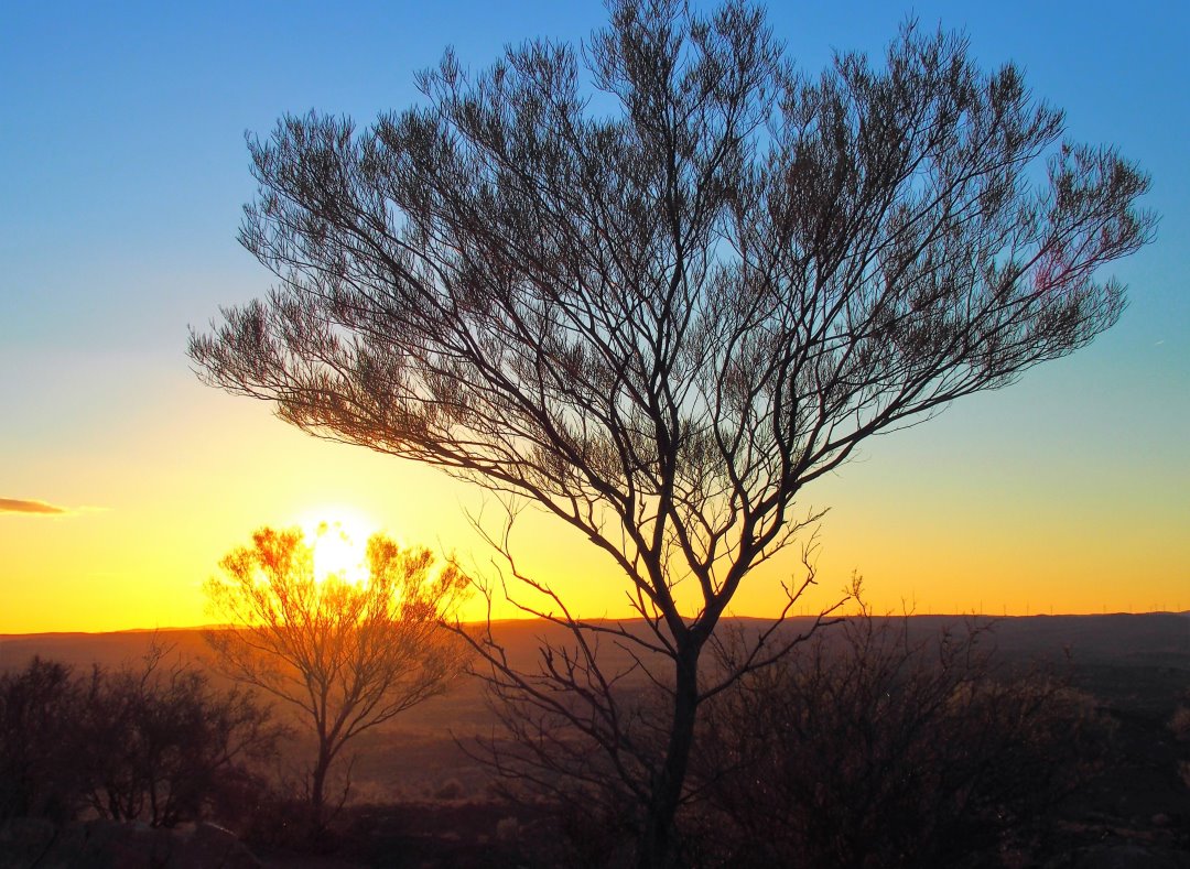 20 Best Sunsets In Australia + Stories That Go With Them!