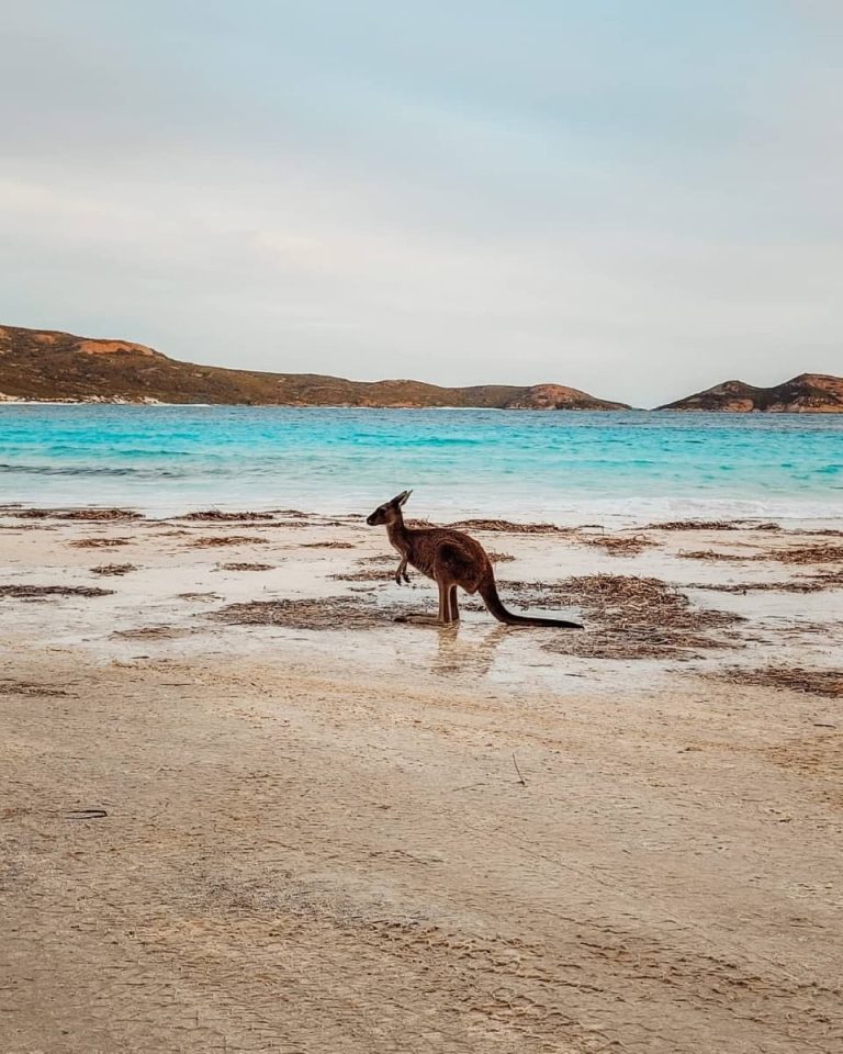 Swipe Our FREE Maps & Tackle 11 Aussie Drives So Wild Your Boss Will ...