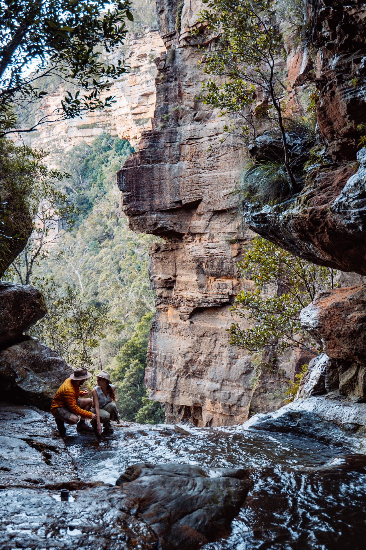 21 Blue Mountains Walking Tracks For ALL Skill Levels!