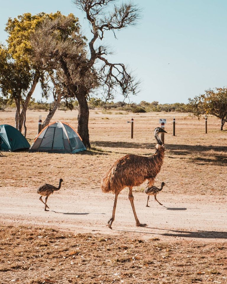 Alice Springs to Uluru Road Trip (7-day) + FREE Map!